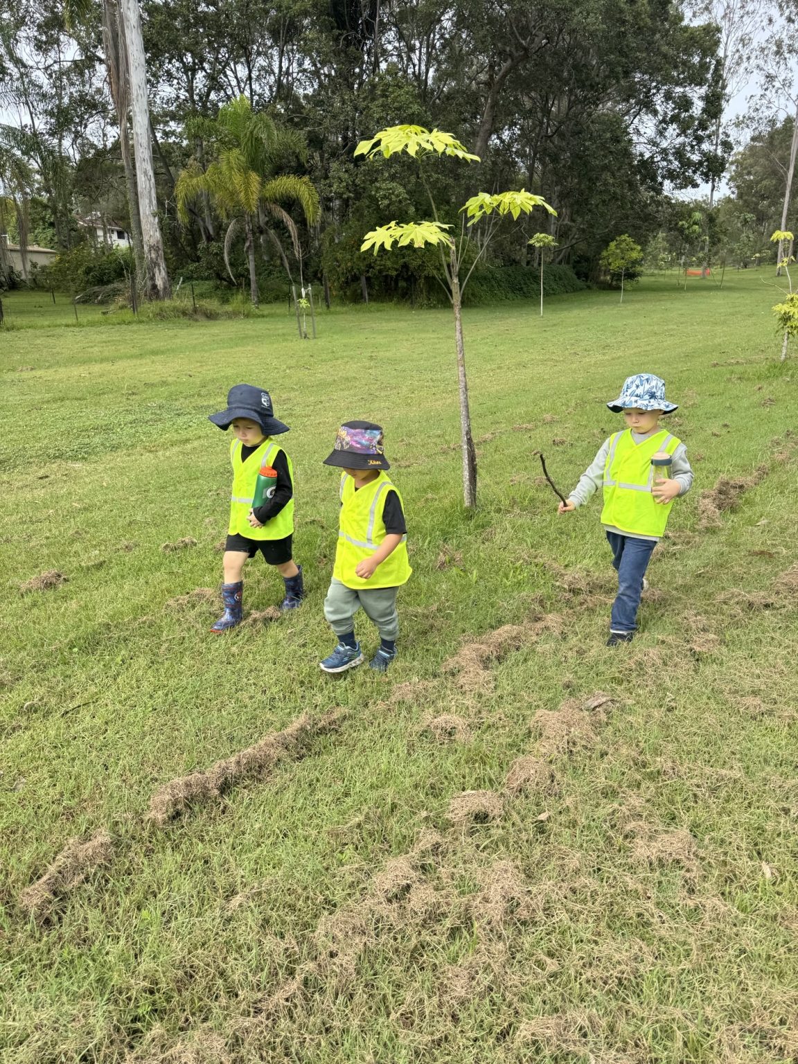 Introducing Bush Kindy for Our Kindergarten Children - Guppy's Early ...